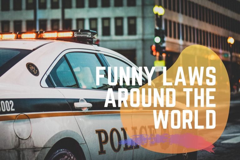 What Are The Funniest Laws You Ever Heard? - FOMHNC
